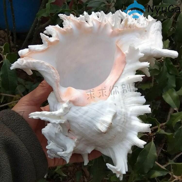 Интерьерное украшение