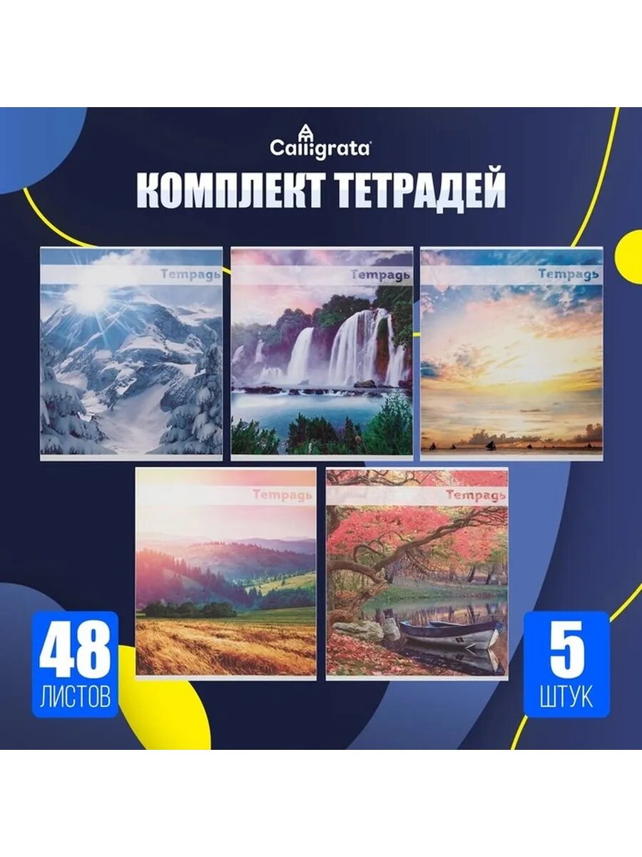 Стильный комплект тетрадей из 5 штук для школы