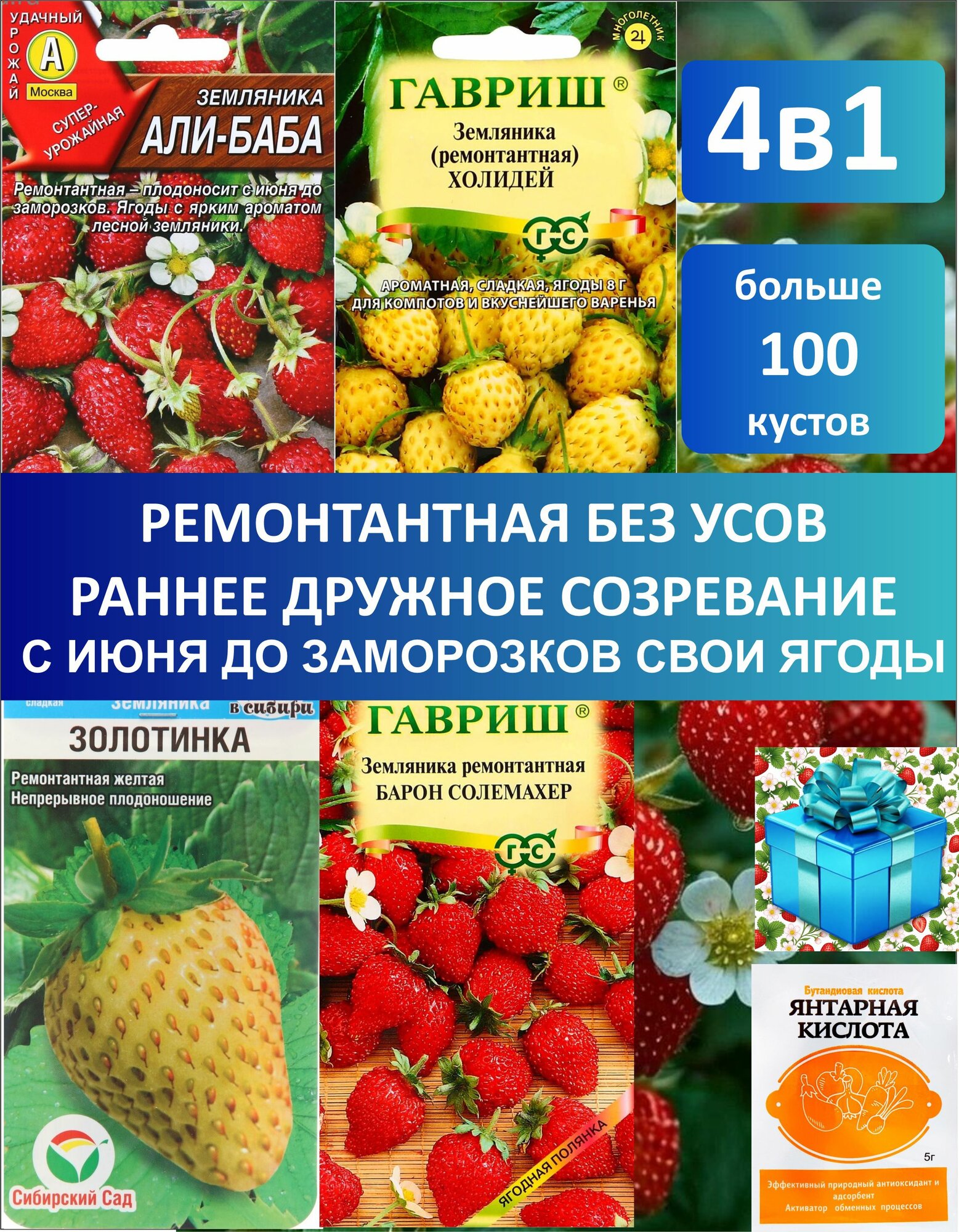 Набор семян ремонтантной садовой земляники (клубники), 4 сорта + подарок