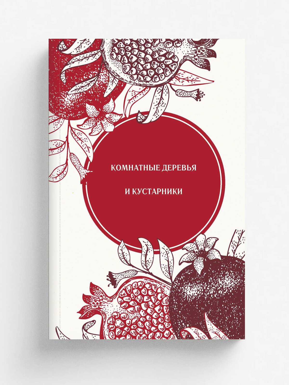 Комнатные деревья и кустарники