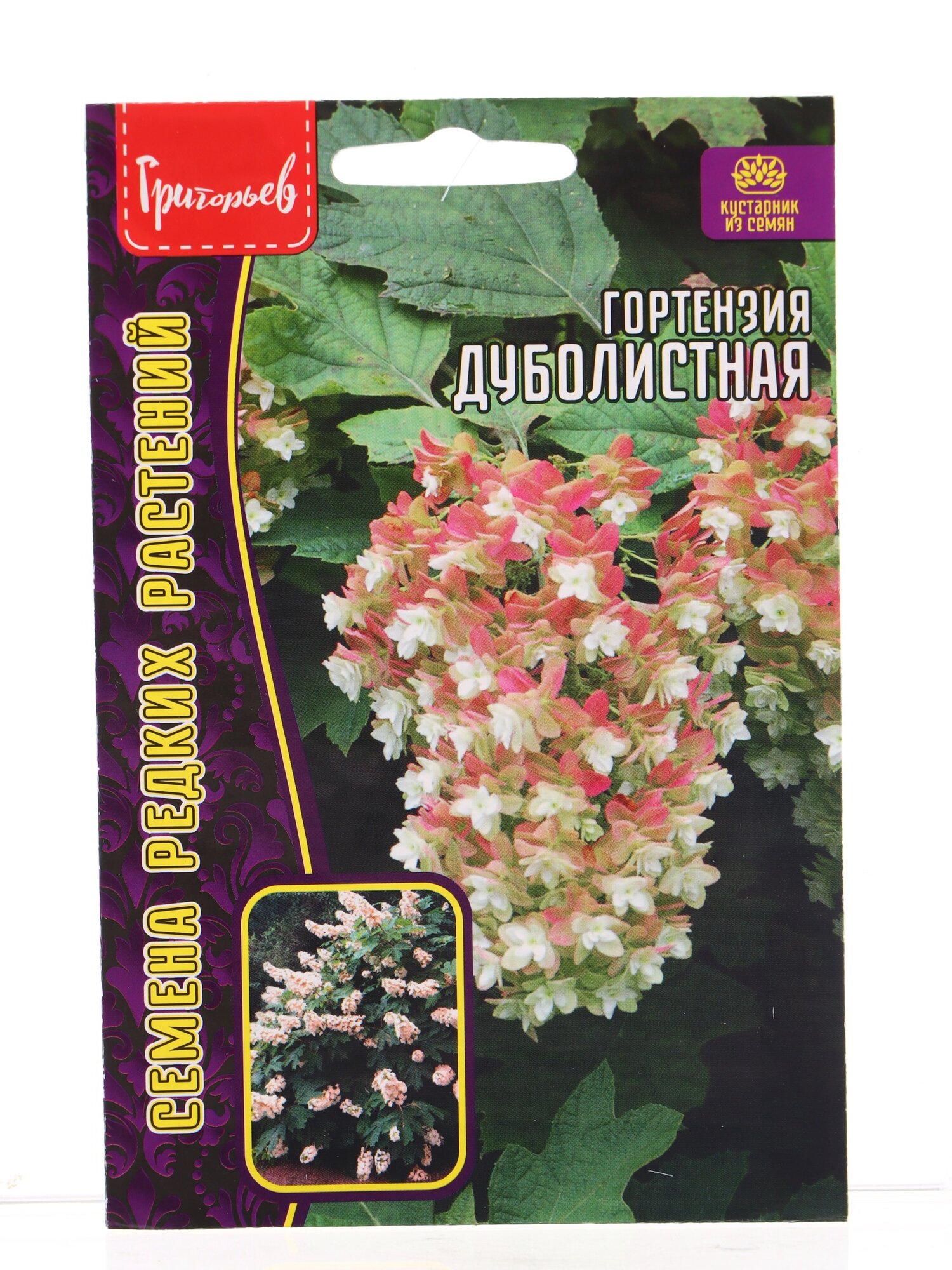 Семена цветов Гортензия Дуболистная 20 шт. 12.29 г. 10967282