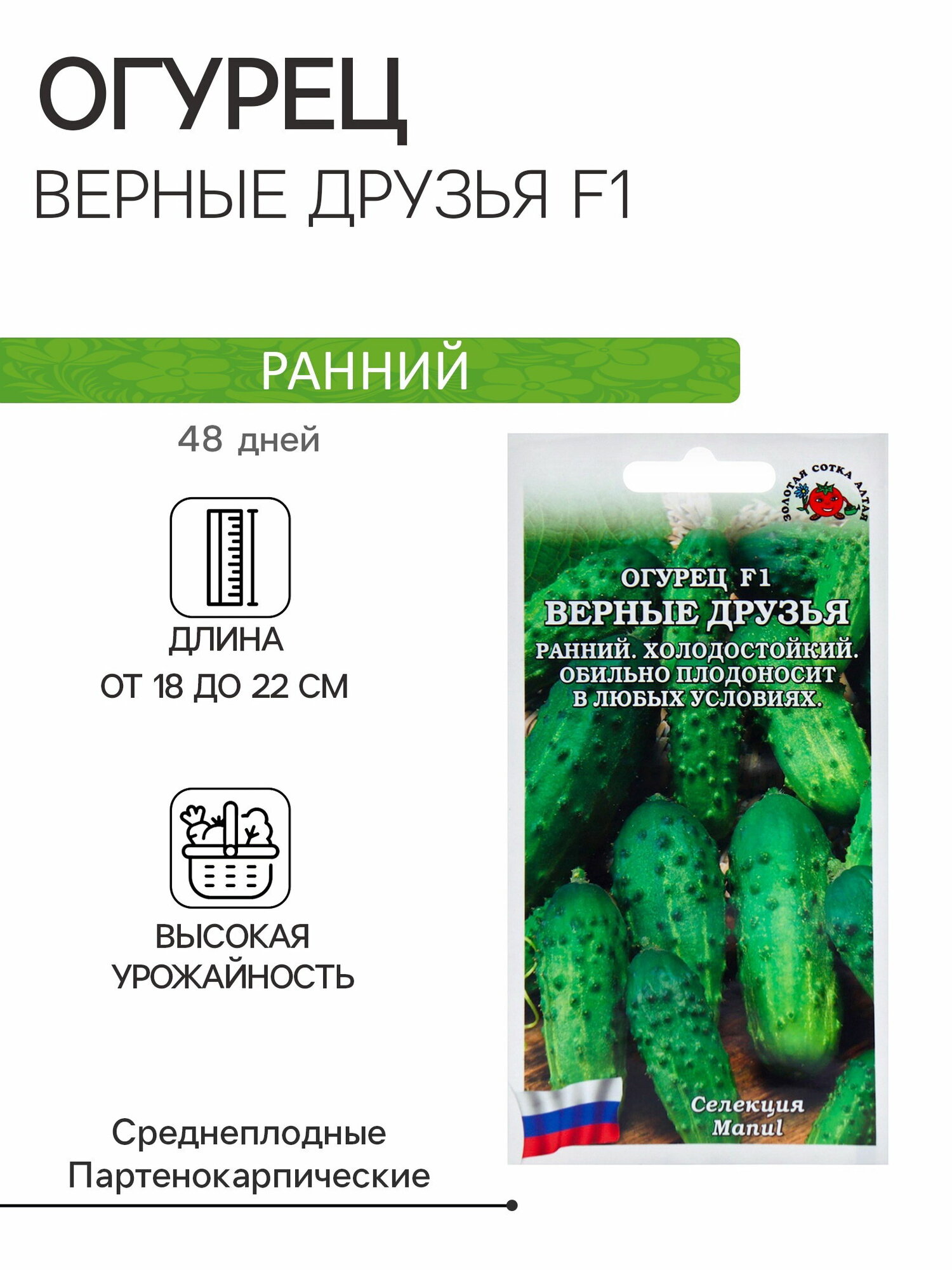 Семена Огурец "Верные друзья", F1, раннеспелый, 0.15 г, "Золотая сотка Алтая" селекция Manul, 2 шт.