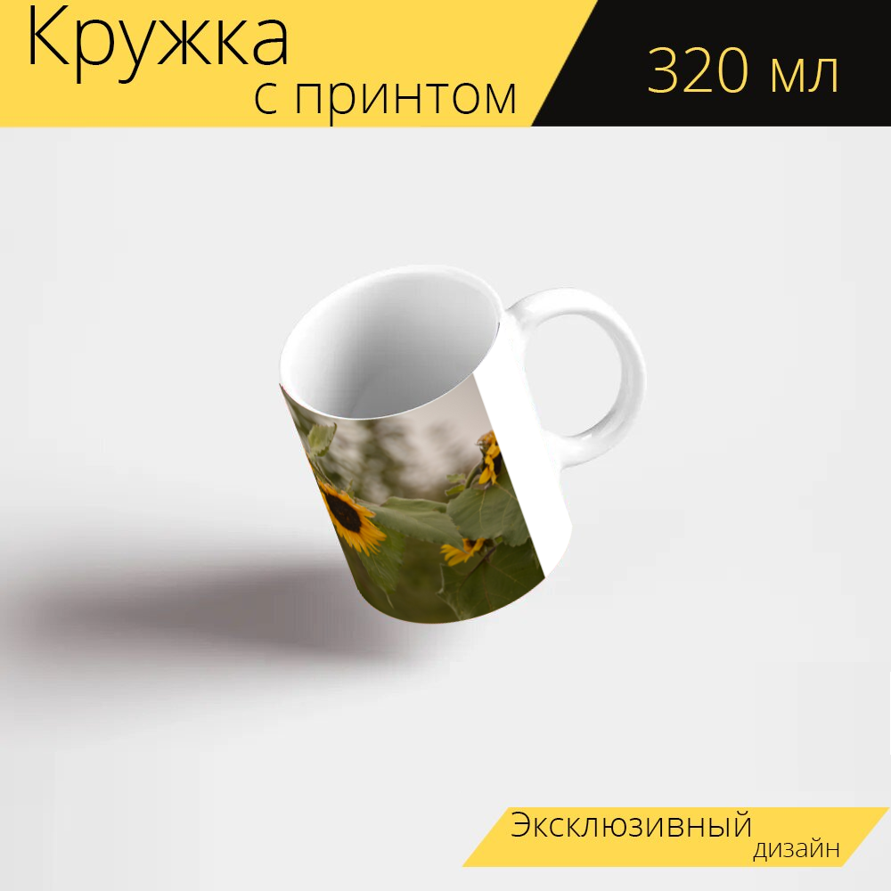 Кружка с рисунком, принтом "Подсолнухи, цветы, природа" 320 мл.