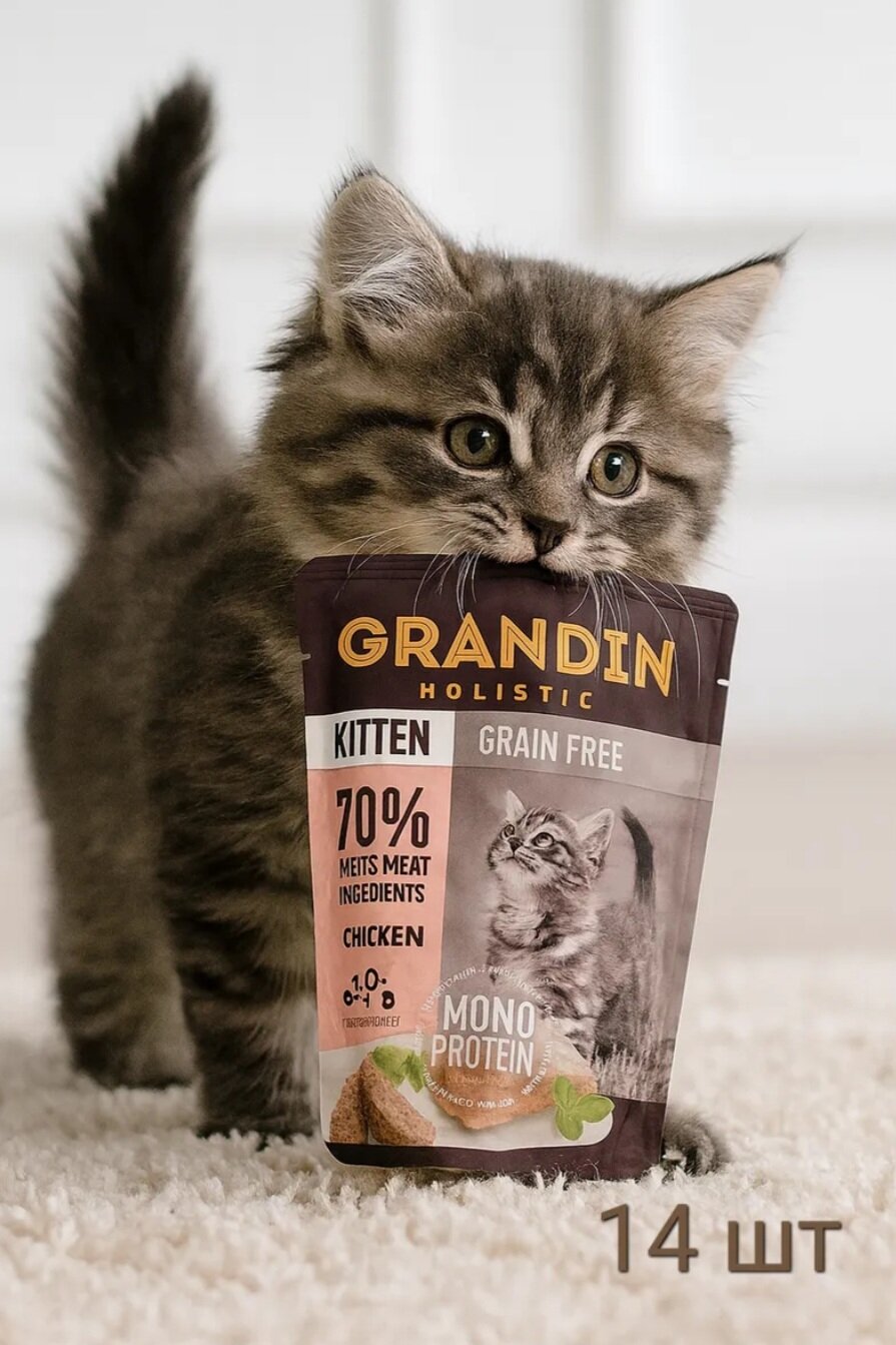 Влажный корм Grandin Holistic, для котят, курица, гипоаллергенный, 85 г, 14 шт