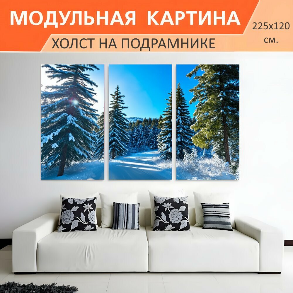 Модульная картина на холсте "Зимний лес, заснеженная дорога между высокими соснами и елями" триптих на подрамнике 225х120 см. для интерьера