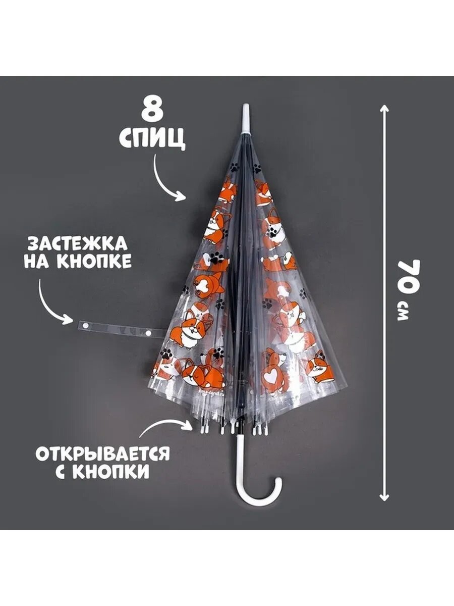 Зонт