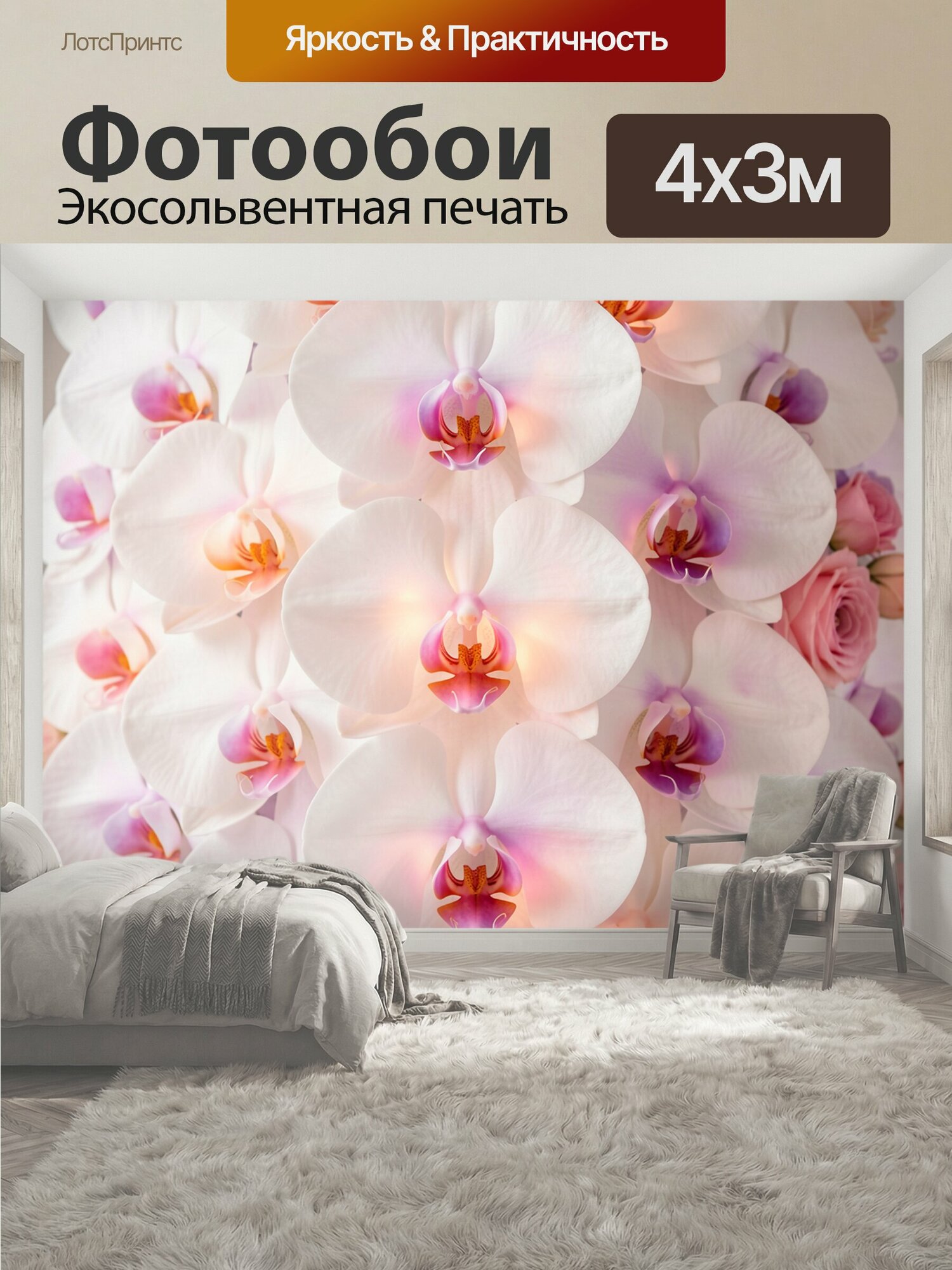 Фотообои "Белые орхидеи с розовыми акцентами. Нежная флористическая композиция из крупных светлых орхидей с розово-фиолетовыми и персиковыми." 400x300 см. экосольвентная печать