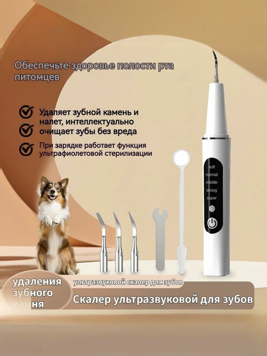 Скалер ультразвуковой для зубов, для собак И кошка, для зубов для удаления зубного камня