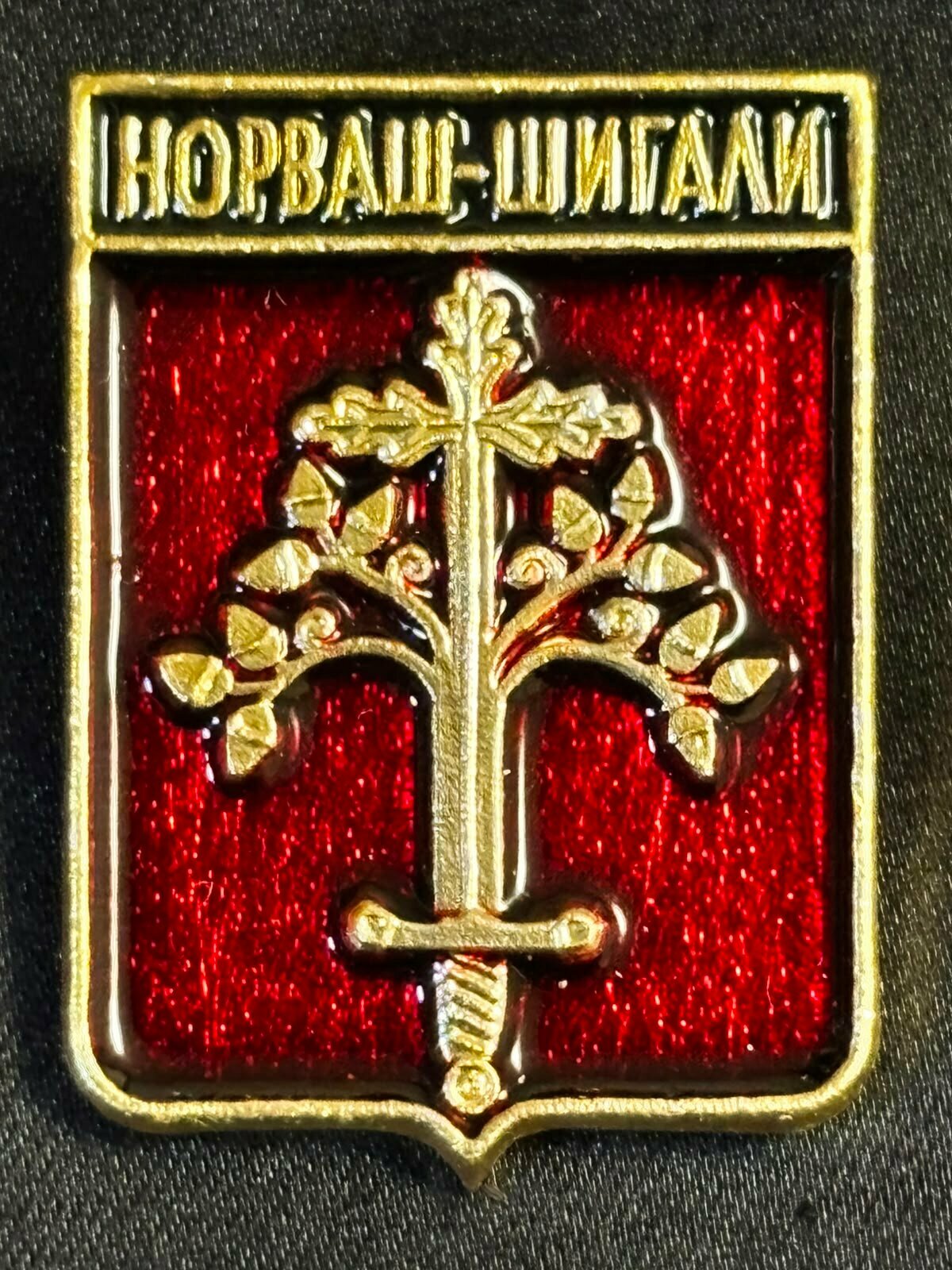 Значок Норваш Шигали герб Чувашия #23