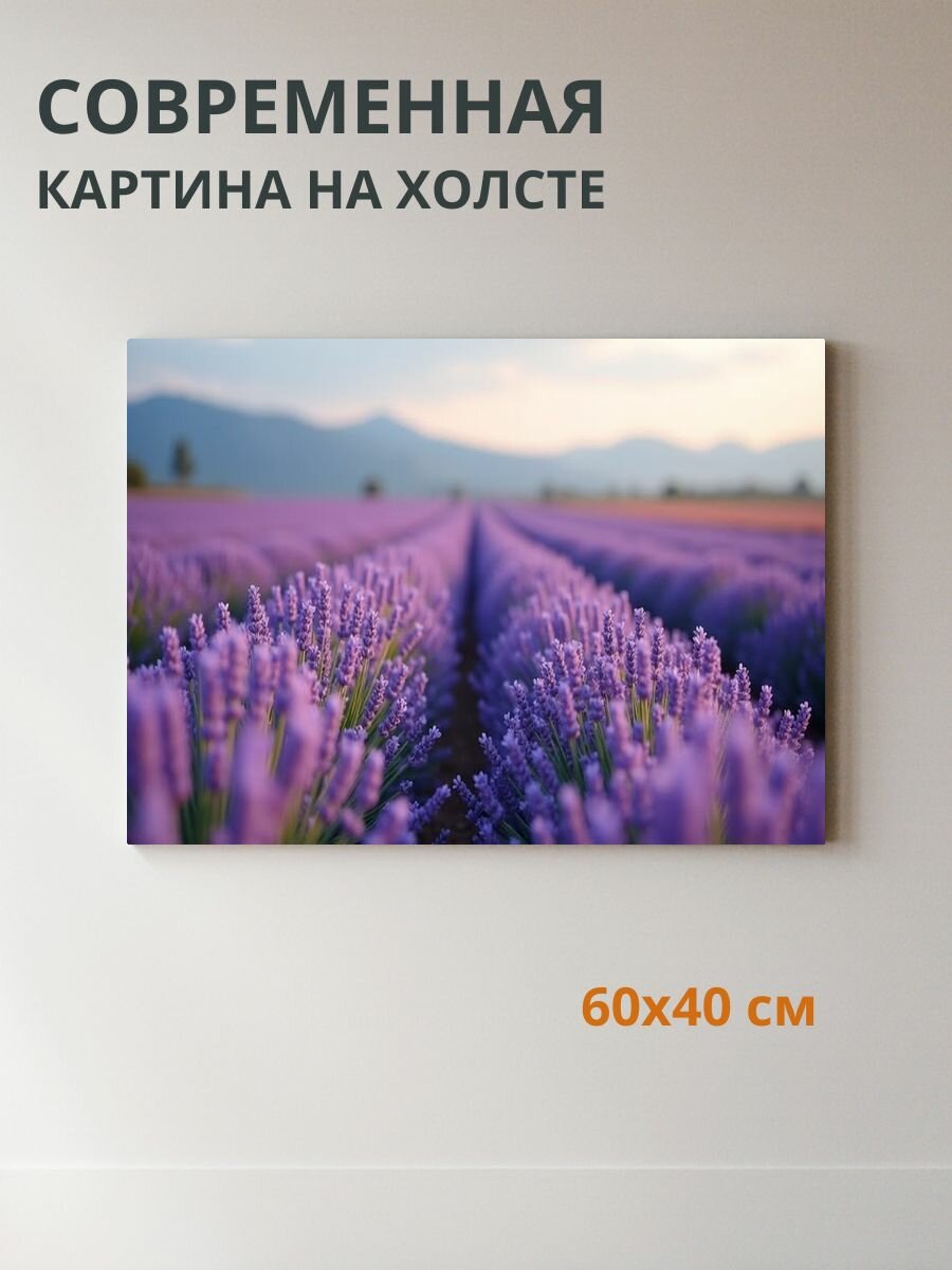 Картина на холсте Поле 60x40 см