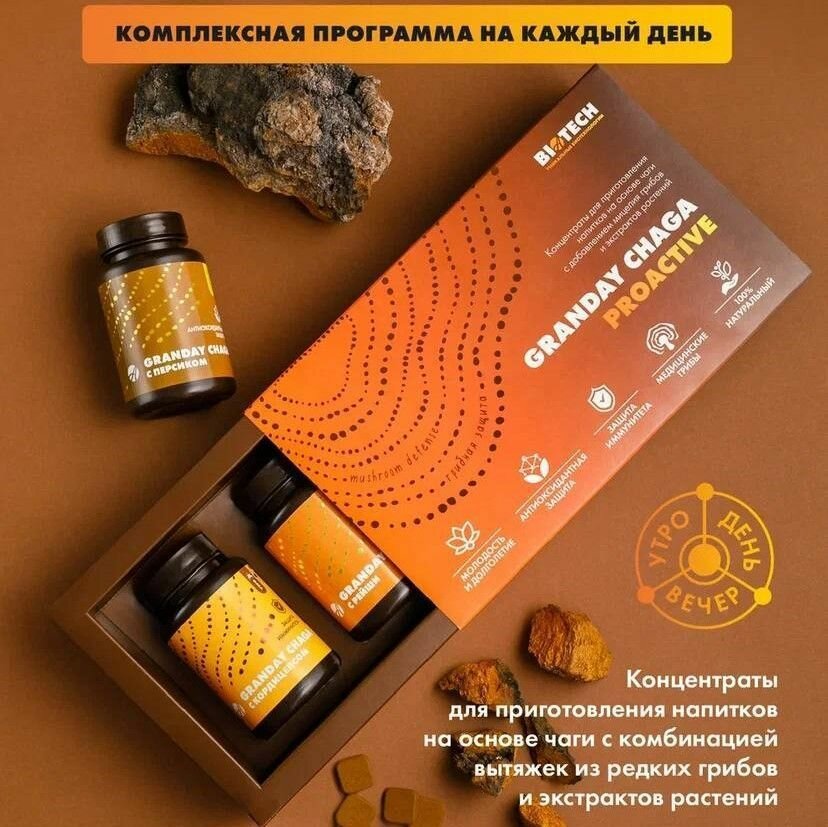 Чайный напиток "Granday Chaga Proactive " Арт Лайф, иммуностимулирующий, 249 г