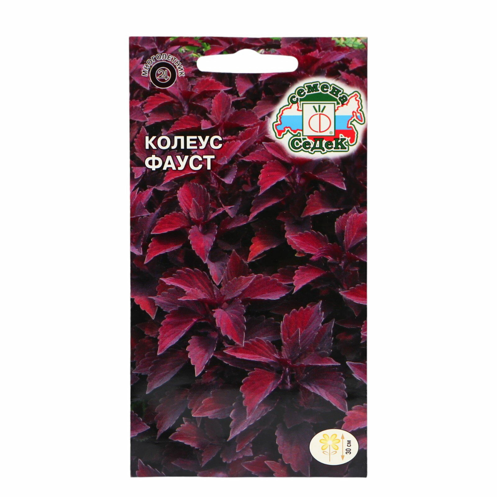 Семена цветов Колеус "Фаус", Евро, 0.1 г, вид: колеус, цветение период: август