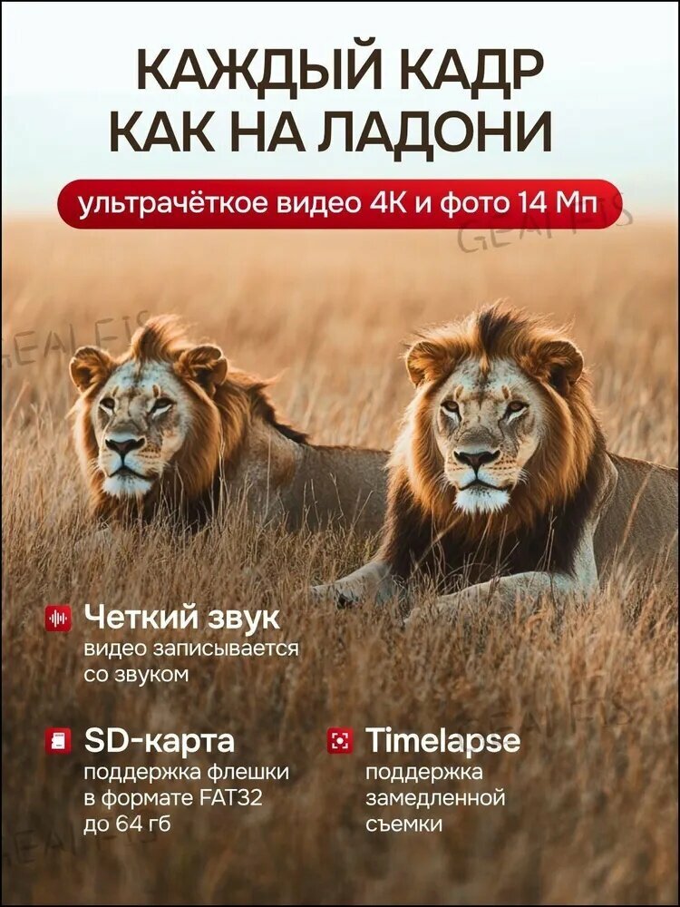 Фотоловушка — фото 1