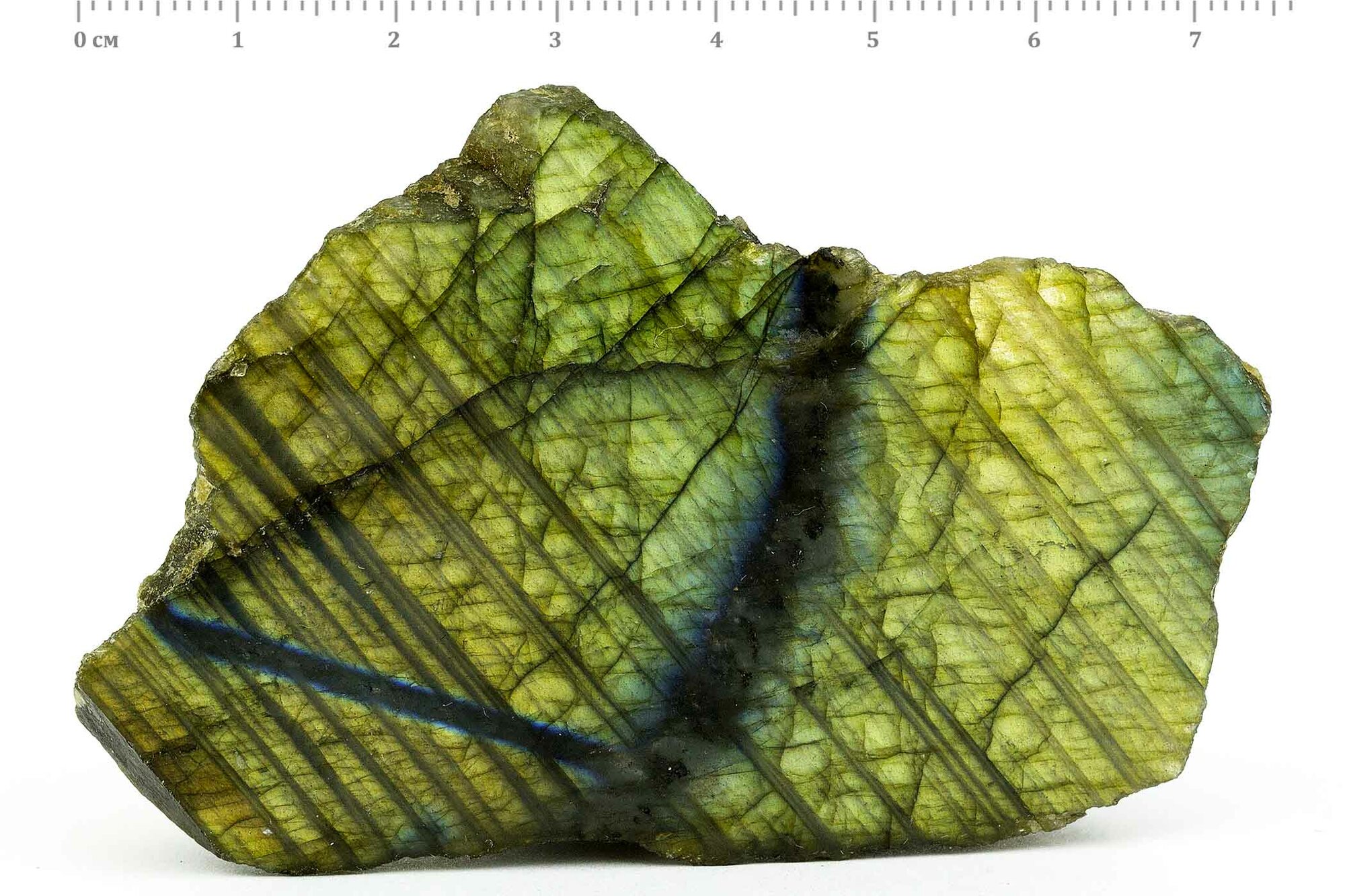 Лабрадор (спектролит) (полированный срез). №145493з