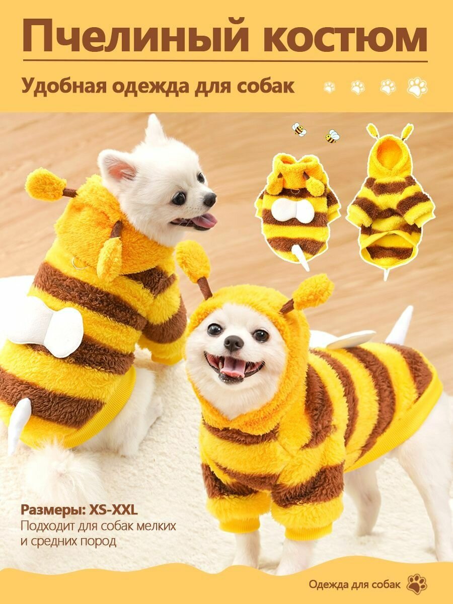 Тяговая пчела с бархатным костюмом, кошки и собаки, осенняя и зимняя одежда.(M)