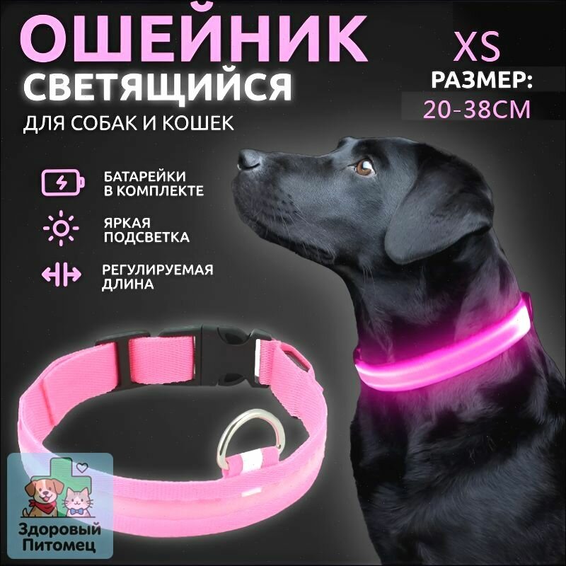 Ошейник светящийся для собак и кошек светодиодный нейлоновый розового цвета, размер XS