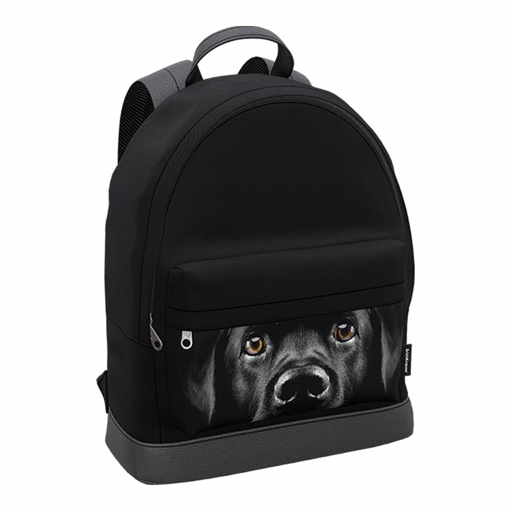 Рюкзак ученический 310x410x130мм 17л ERICH KRAUSE