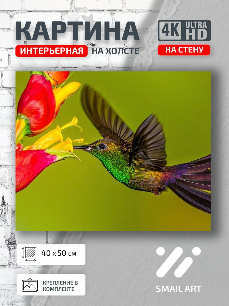Картина на холсте интерьерная 40 на 50 на стену Полет Landscape для кабинета пейзаж декор