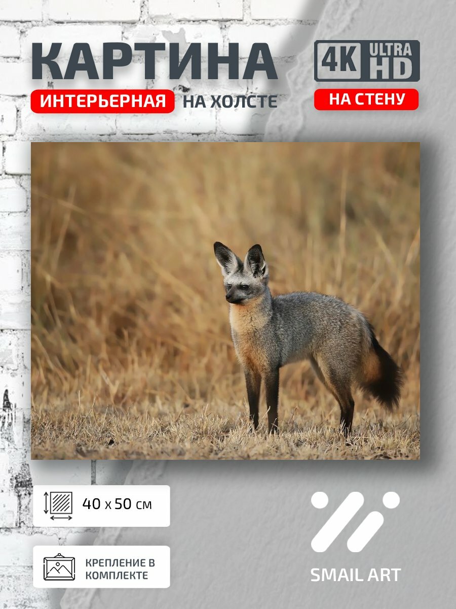 Картина на холсте интерьерная 40 на 50 на стену Трава Landscape для спальни пейзаж интерьер