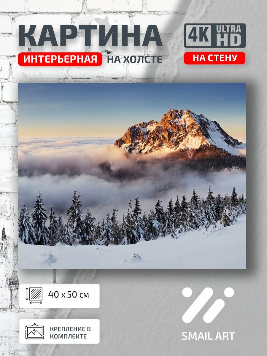 Картина на холсте интерьерная 40 на 50 на стену Гора Landscape для гостиной пейзаж интерьер