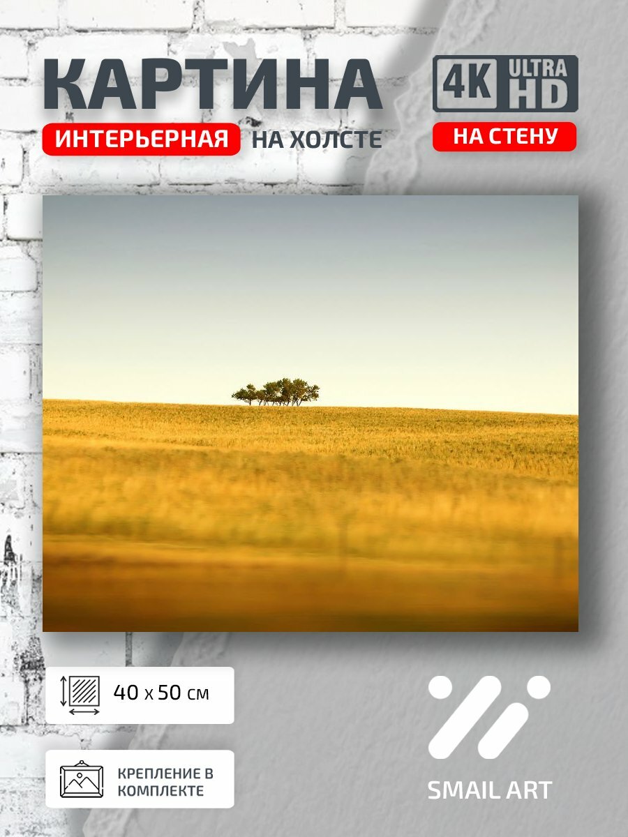 Картина на холсте интерьерная 40 на 50 на стену Горизонт horizon для кабинета пейзаж декор