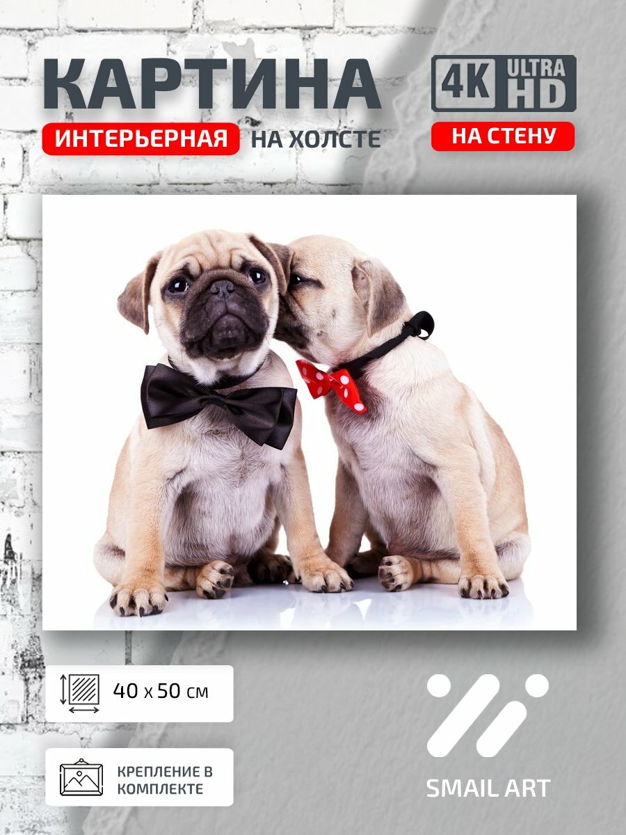 Картина на холсте интерьерная 40 на 50 на стену Бабочками Mood для кабинета атмосфера декор