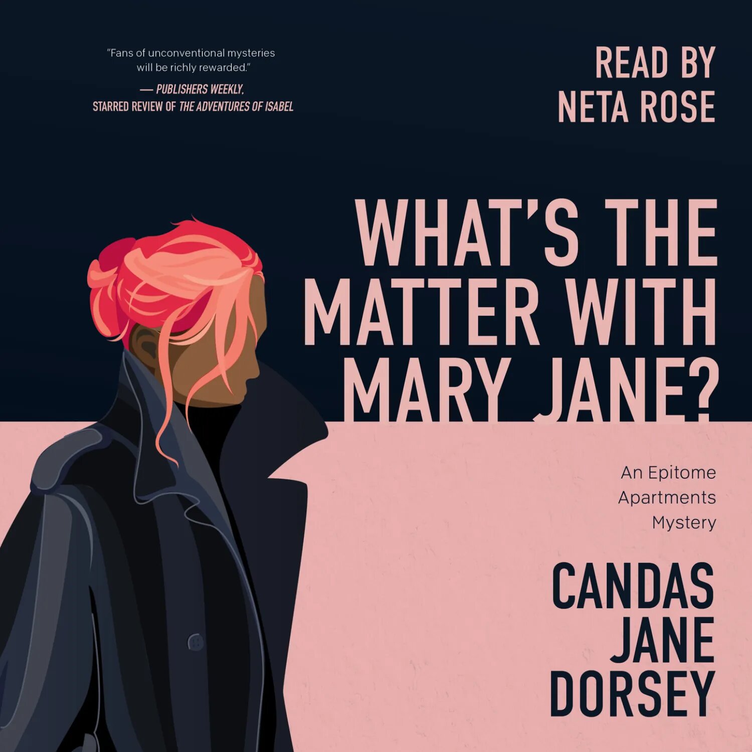 What's the Matter with Mary Jane? - An Epitome Apartments Mystery, Book 2 (Unabridged) [Аудиокнига]