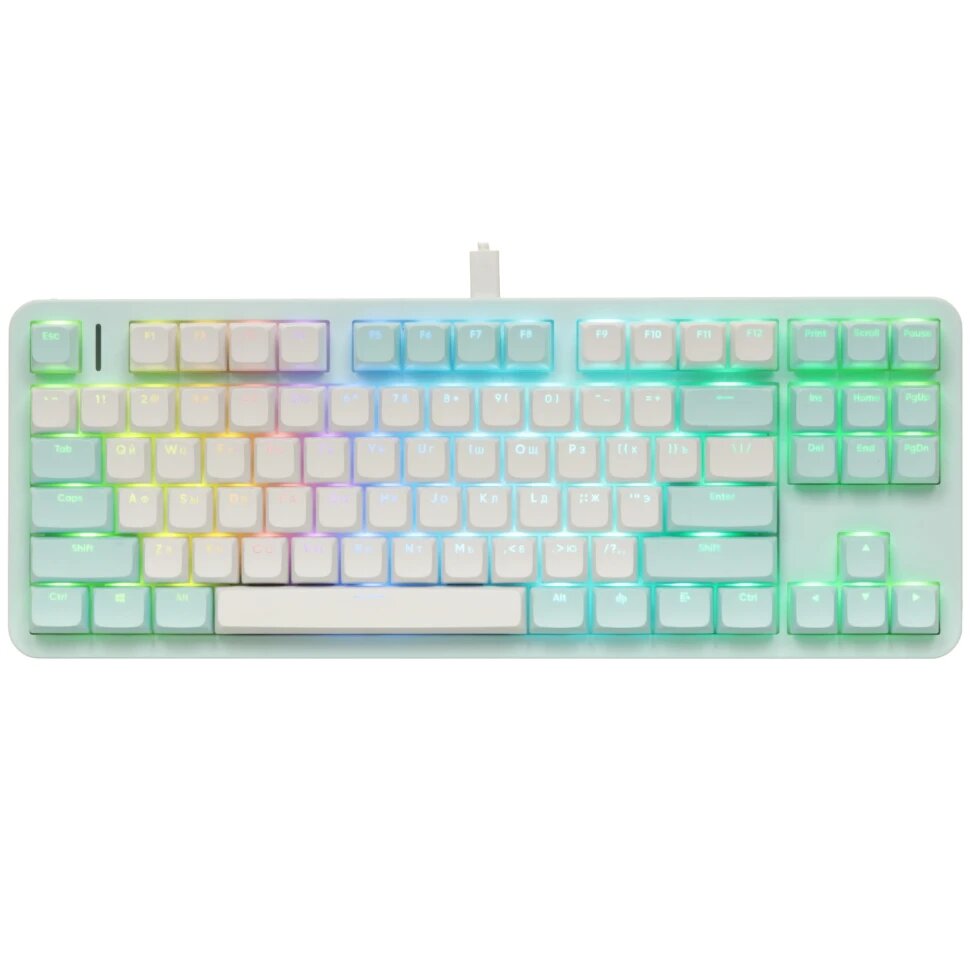 Клавиатура проводная Red Square Alumix TKL SE Frosty Mint (RSQ-20063)
