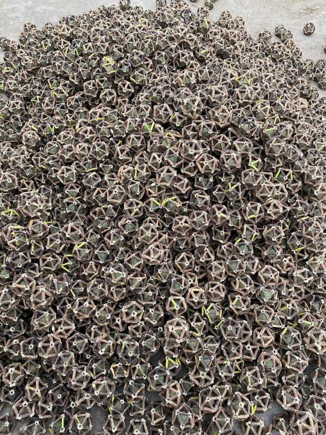 Кошачья мята Изысканный мяч Polygonum Knee Cat Fun Stick Котенок Принадлежности для котят Шлифовальная палочка для