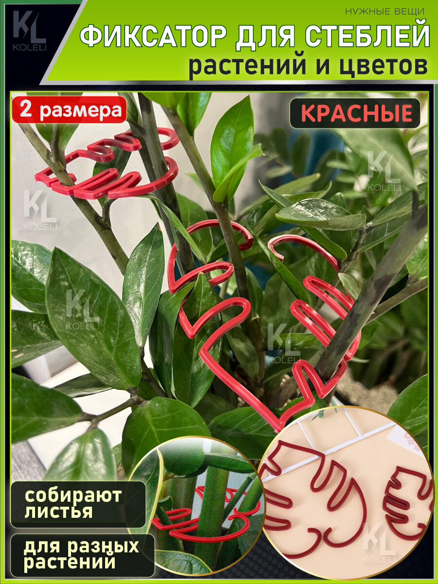 KoLeli / Фиксатор для сбора листьев и стеблей, фигурная опора, красные, 2 шт.
