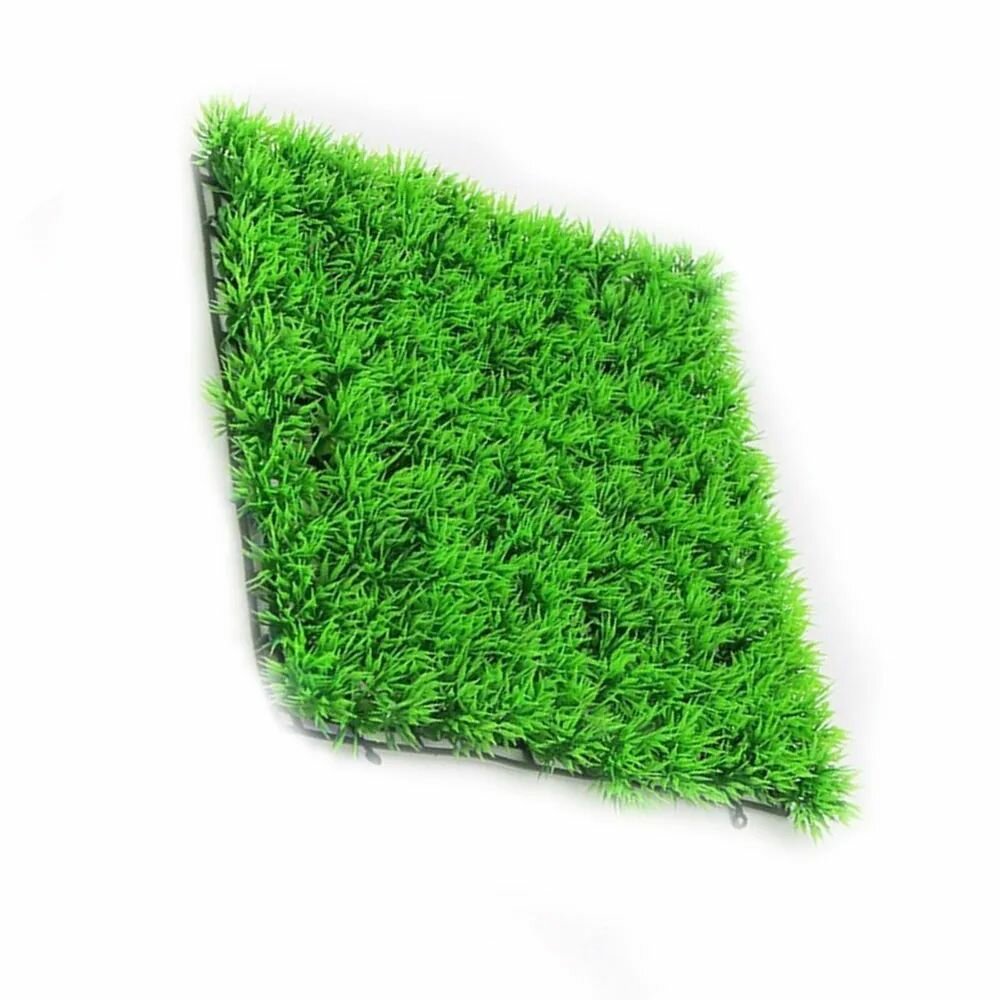 Аквариумная Трава