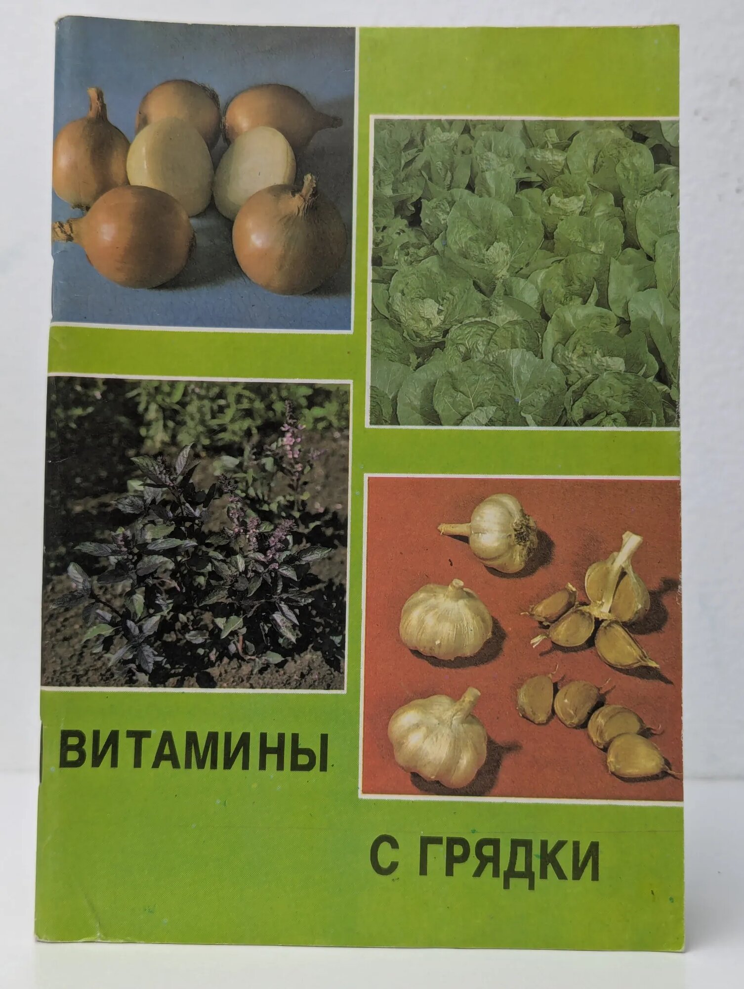 Витамины с грядки Пантиелев Яков Хацкелевич 1993