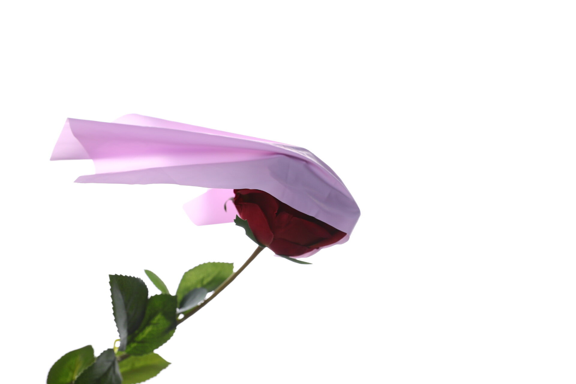 [Секс-игрушки] Mystery Jiduo фруктовый кунилингус, оральный секс Интерактивные игрушки SM Секс Оранжевый куннилингус