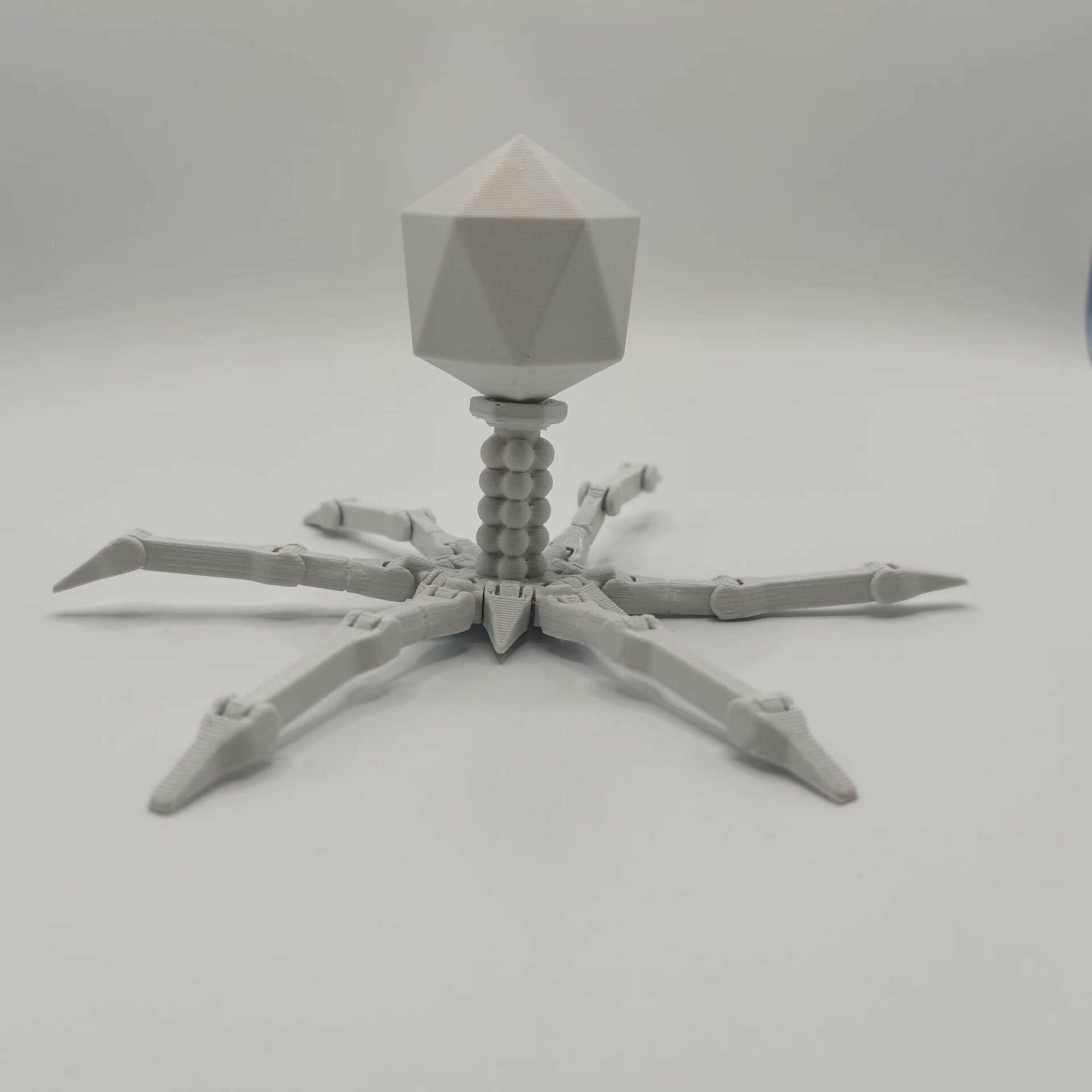 3D-печатная подвижная модель бактериофага: креативный подарок, увлекательное образовательное средство, биологический