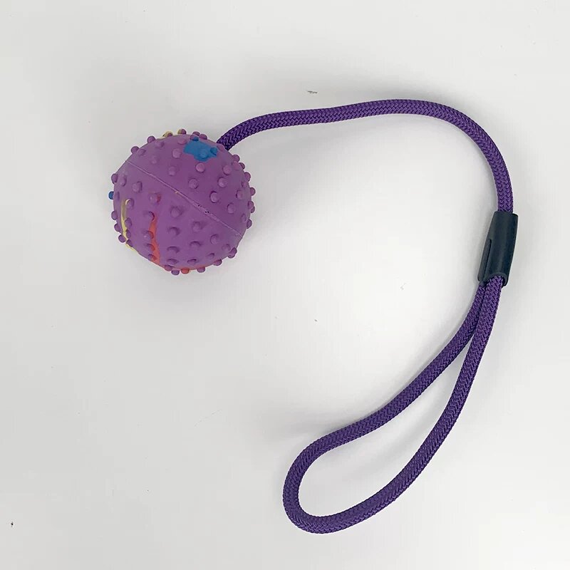 Игрушка-мяч для дрессировки собак с звуком, для лабрадоров, для маленьких и крупных собак, звуковой мяч Большой