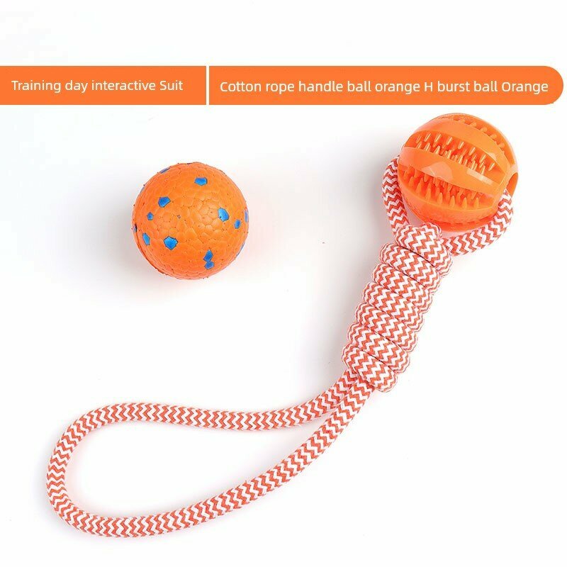 Собачья игрушка-мячик с капроновой веревкой + бouncy мячик, набор оранжевого цвета для собак