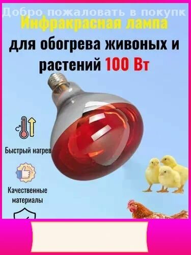 Инфракрасный обогреватель премиум для птичников, свинарников и тепличных растений, мощность 100 Вт