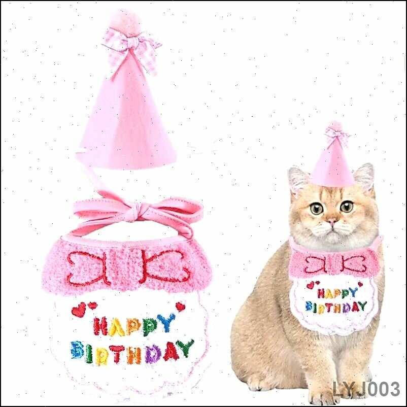 Ошейник и колпак праздничный костюм на День Рождения кота и собаки