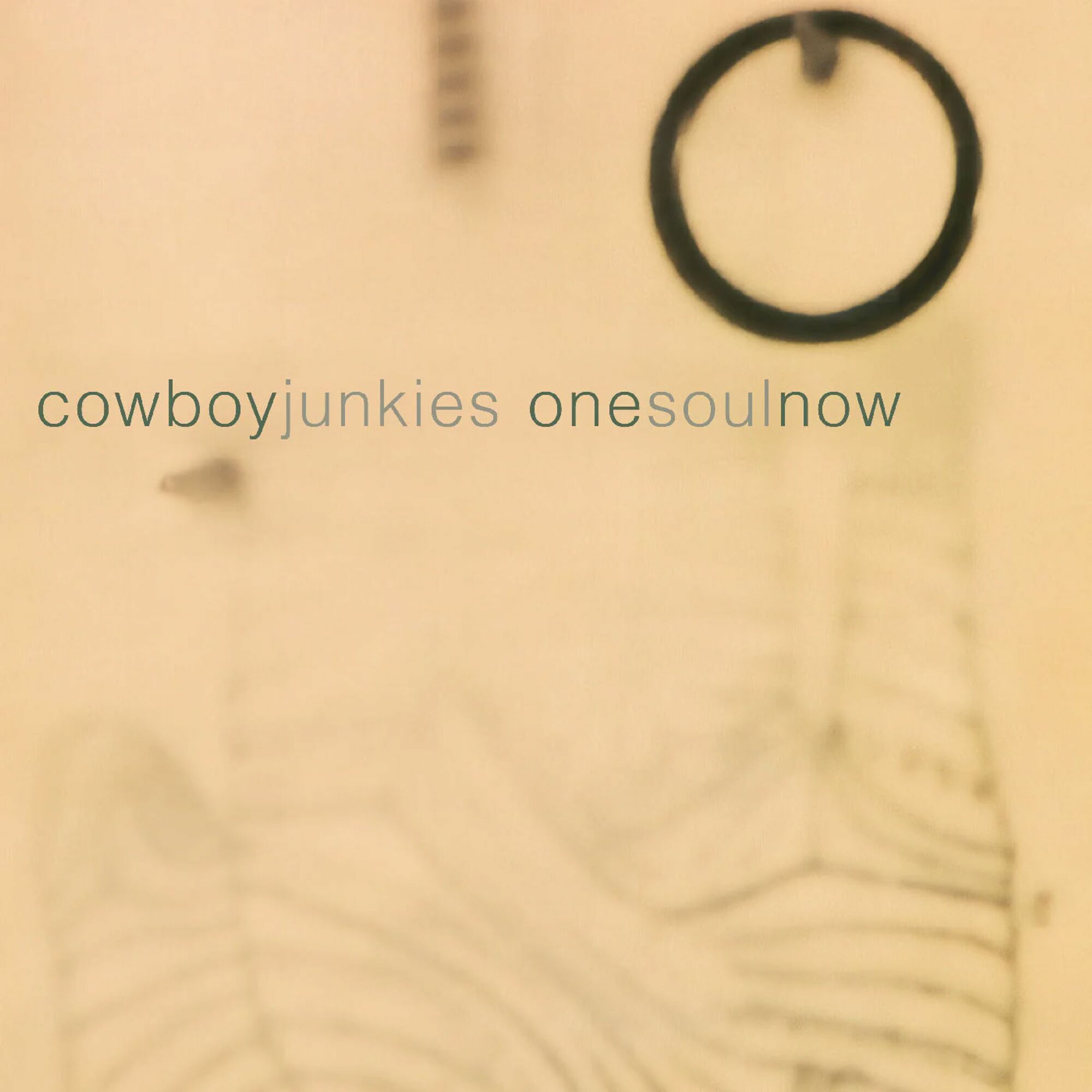Компакт-диск Cowboy Junkies - One Soul Now (1 CD)