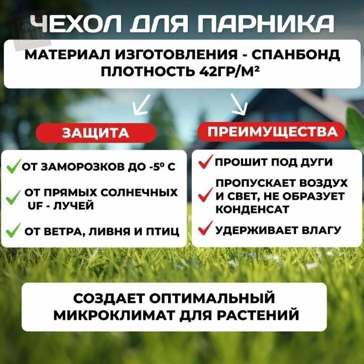 Парник, теплица