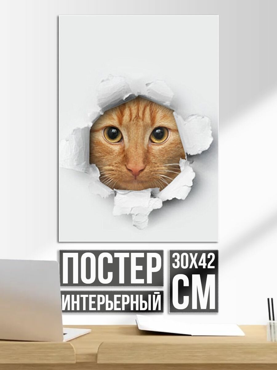 Постер на стену Рыжий кот разрывает пространство