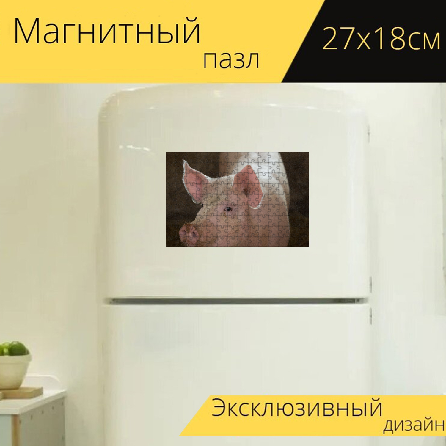 Магнитный пазл "Свинья смотрит Свинья на ферме сельское хозяйство животноводство внутренний ферма смешно свинья нос поросенок свиней розовый свинина морда свиньи" на холодильник 27 x 18 см.