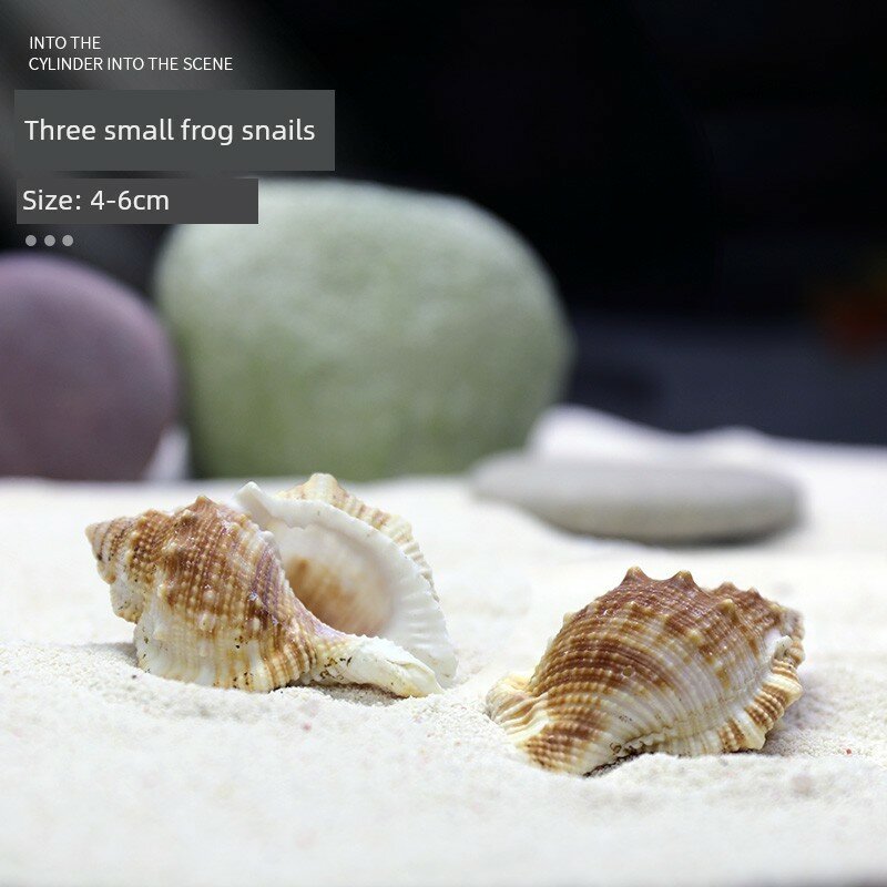 Натуральные раковины для аквариумов, декоративные раковины различных размеров, укрытия для рыб и креветок, места для