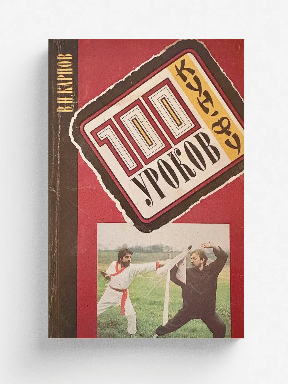 100 уроков кунг-фу