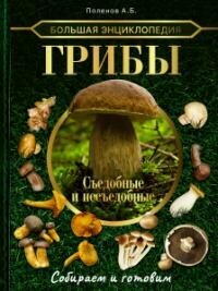 Книга "Грибы. Съедобные и несъедобные : собираем и готовим"
