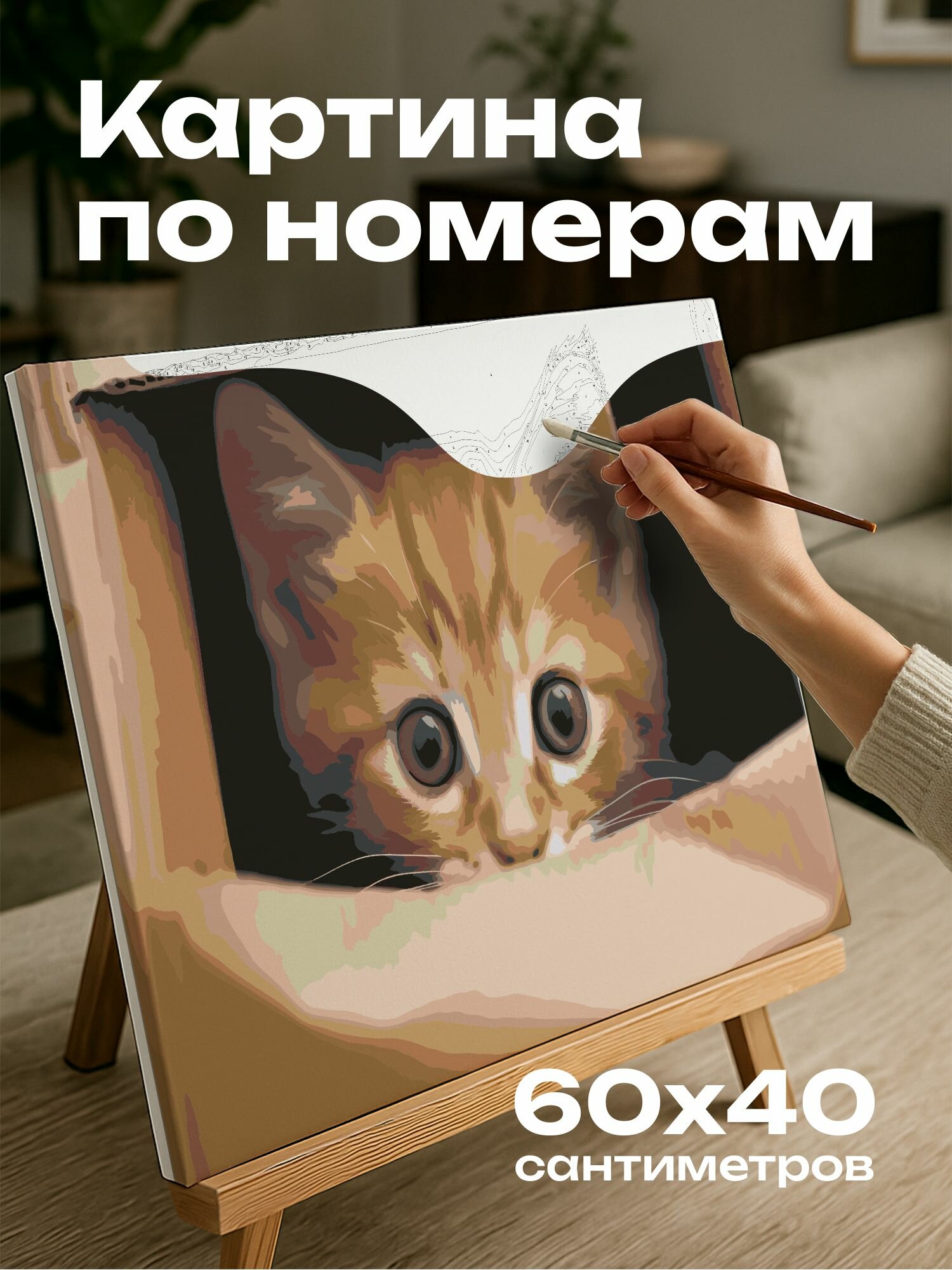 Картина по номерам 60x40 см, котенок, шапочка, картонная коробка, глаза, игривая поза, озорство
