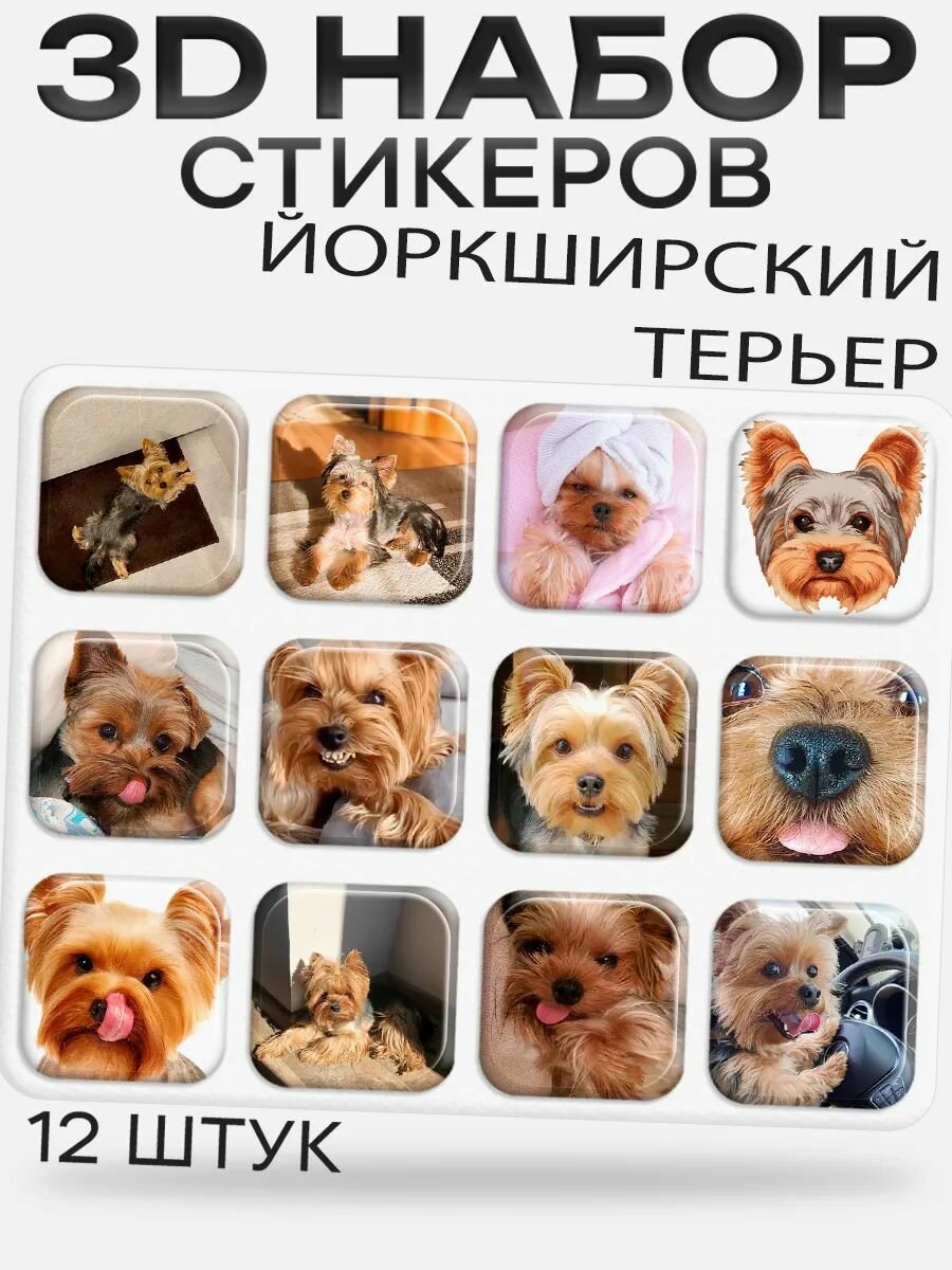 3D стикеры на телефон йоркширский терьер