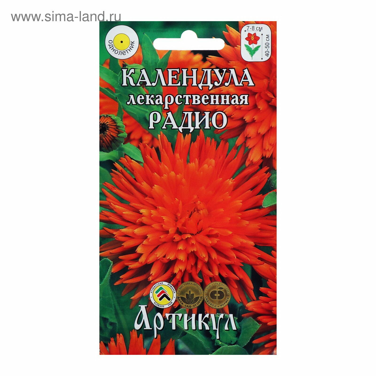 Семена цветов Календула "Радио", 0.3 г, цветение период: август, 2 шт.