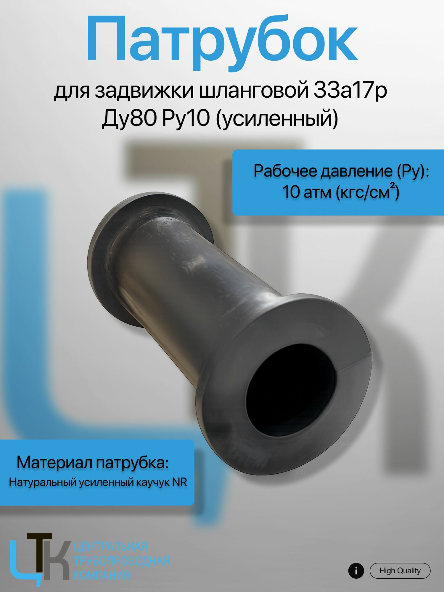 Патрубок для задвижки шланговой 33а17р Ду80 Ру10 (усиленный)