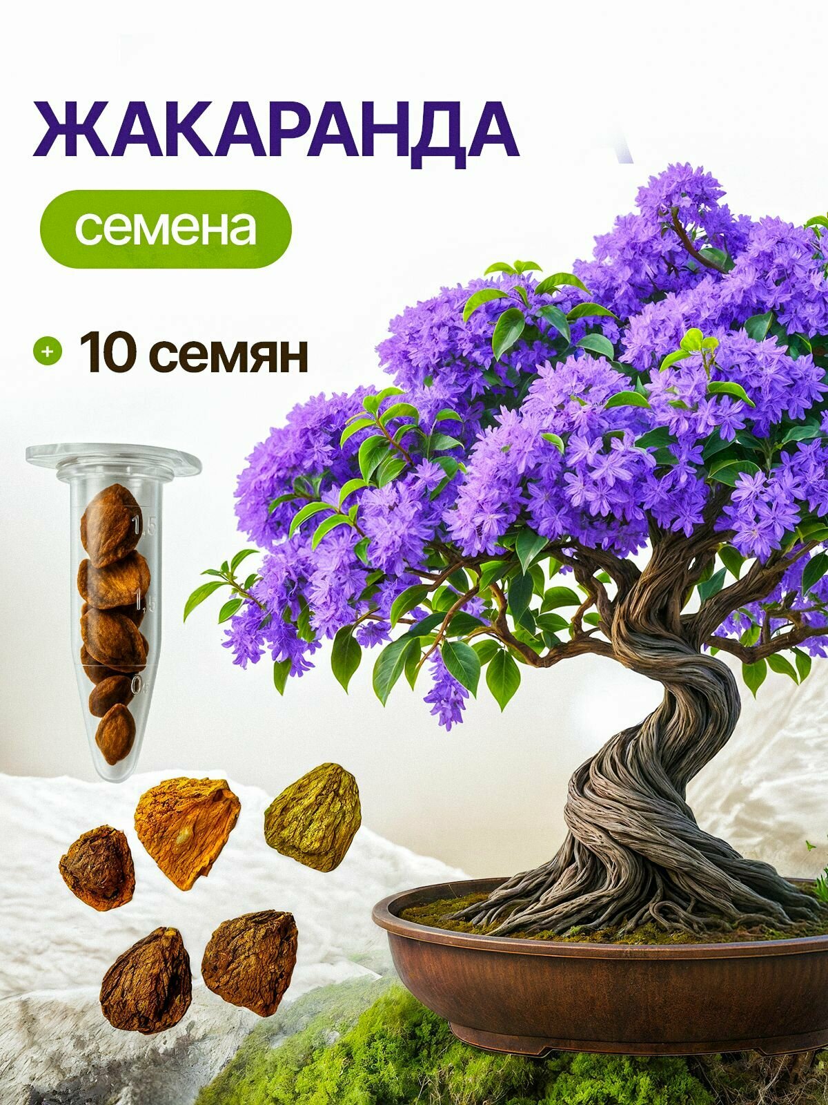 Семена для бонсай Жакаранда 10 шт. круглогодичное Про Растения